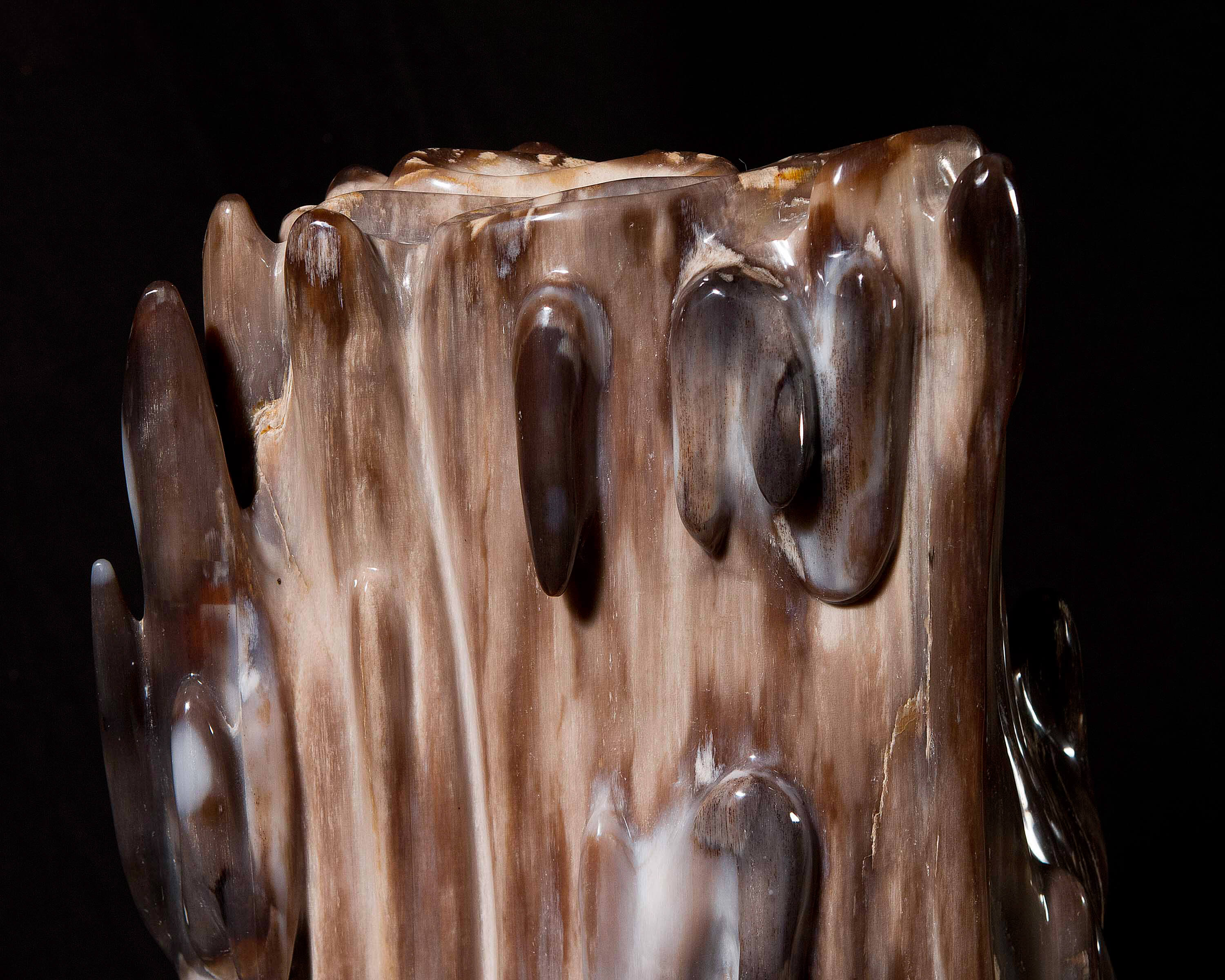 Sculpture Of Petrified Wood